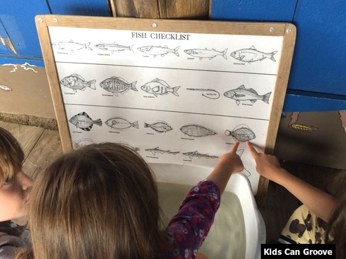 Summer aquatic adventures! | Kids Can Groove